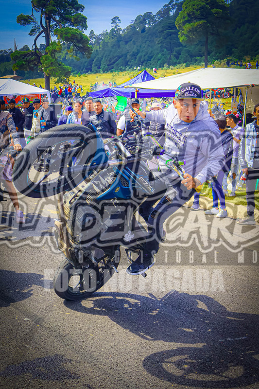 PL2 3040 — Postimages