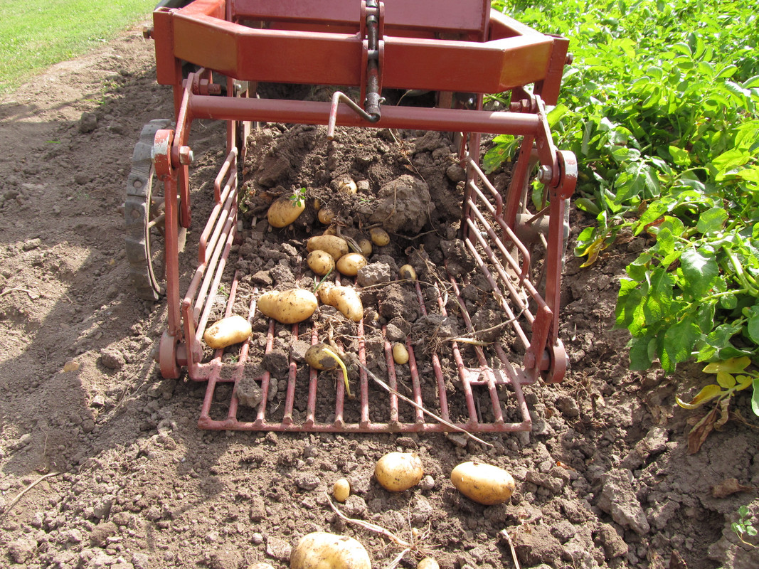 IMG 9157 — Postimages