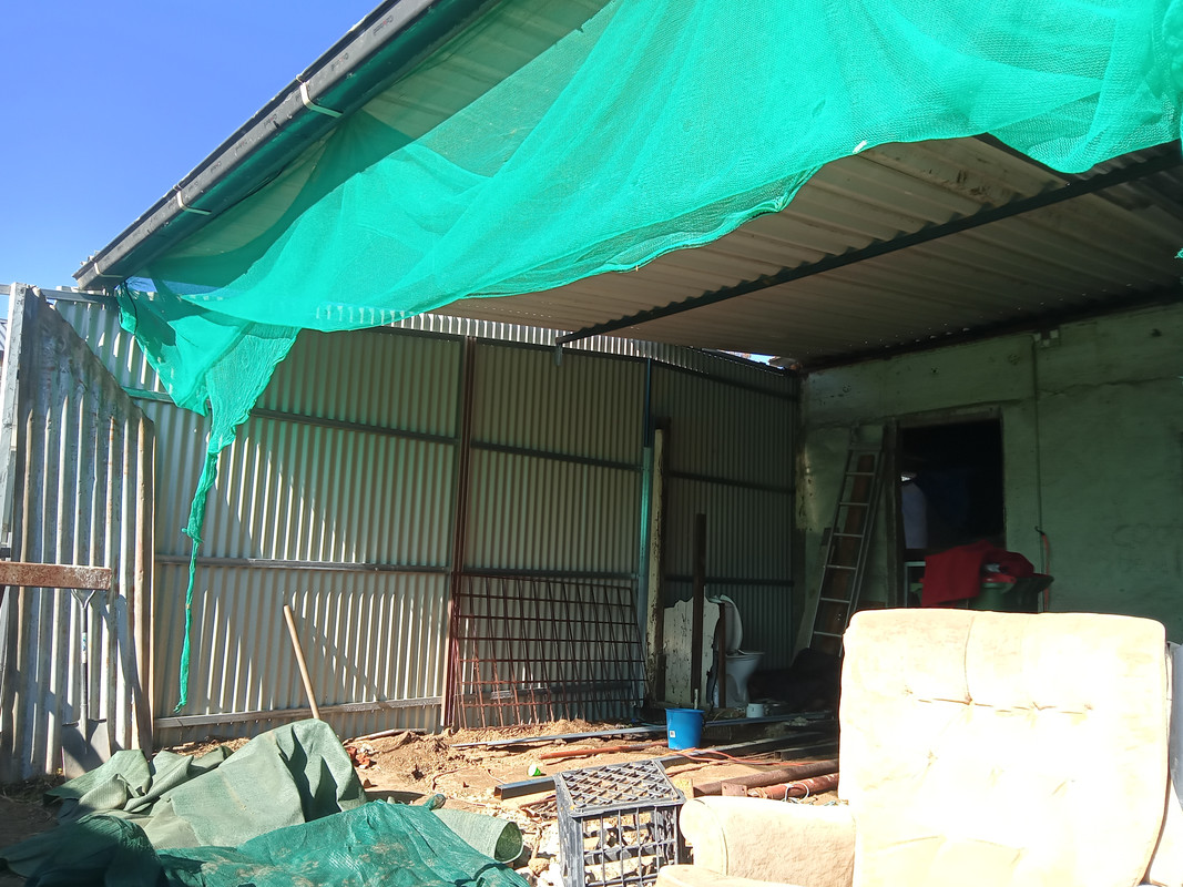 Big lean to out back of house - Home