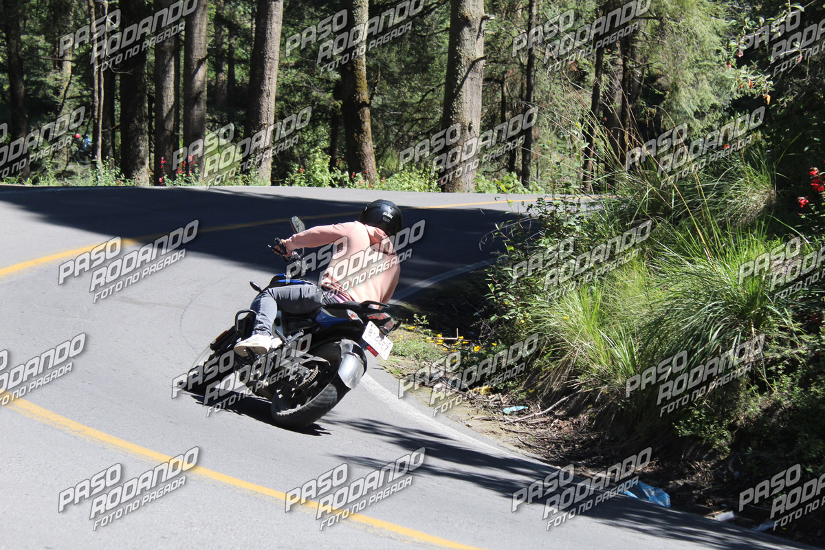 IMG 5153 wm 110881 29999999702 watermarked — Postimages