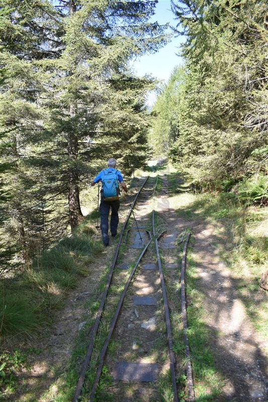 DSC 0321 — Postimages