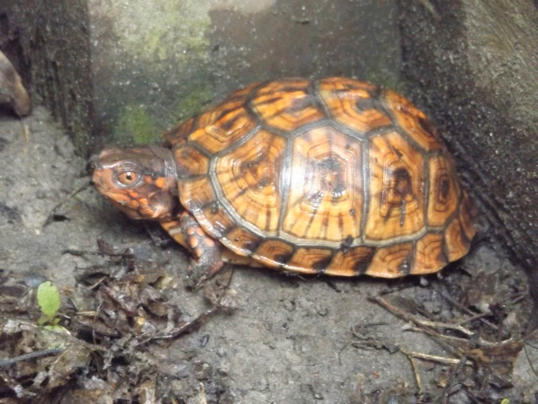 DSCF9026 (2) — Postimages