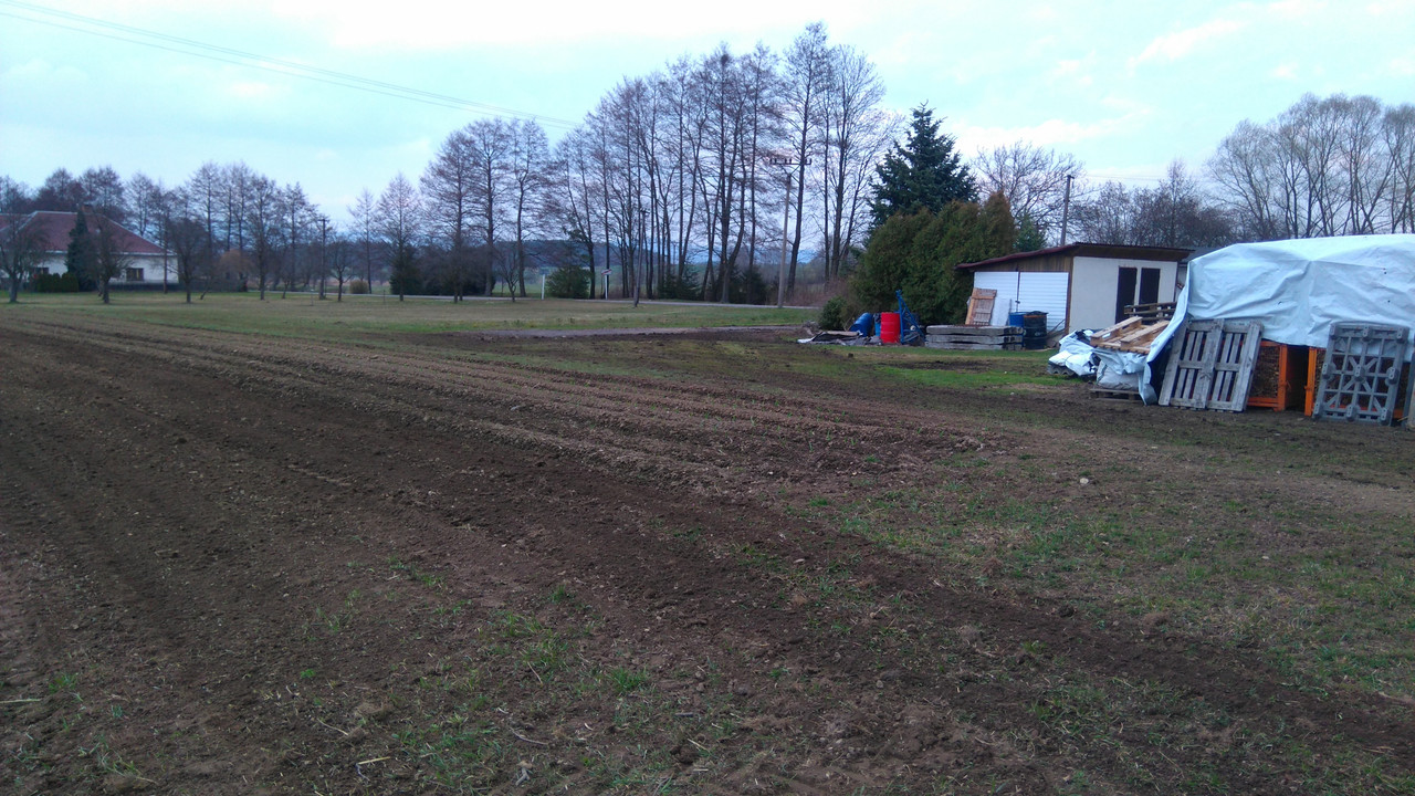 DSC 1307 — Postimages