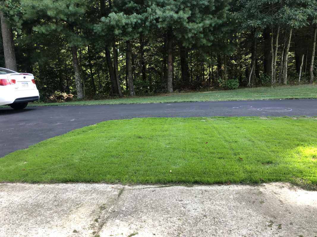 551 B767 E 4 B1 D 43 E0 AC12 54 D72 D137663 — Postimages