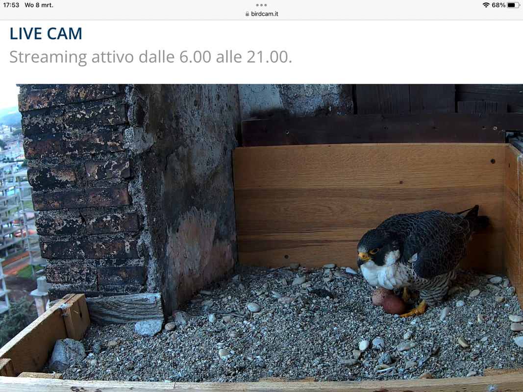 3 F85 AA62 942 E 4 DFC 9 B70 1 D1 DF319 F582 — Postimages