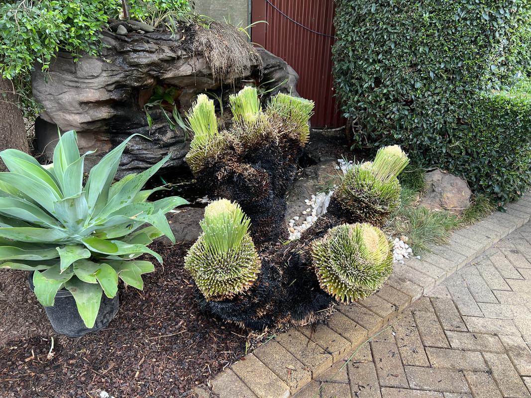 IMG 1029 — Postimages