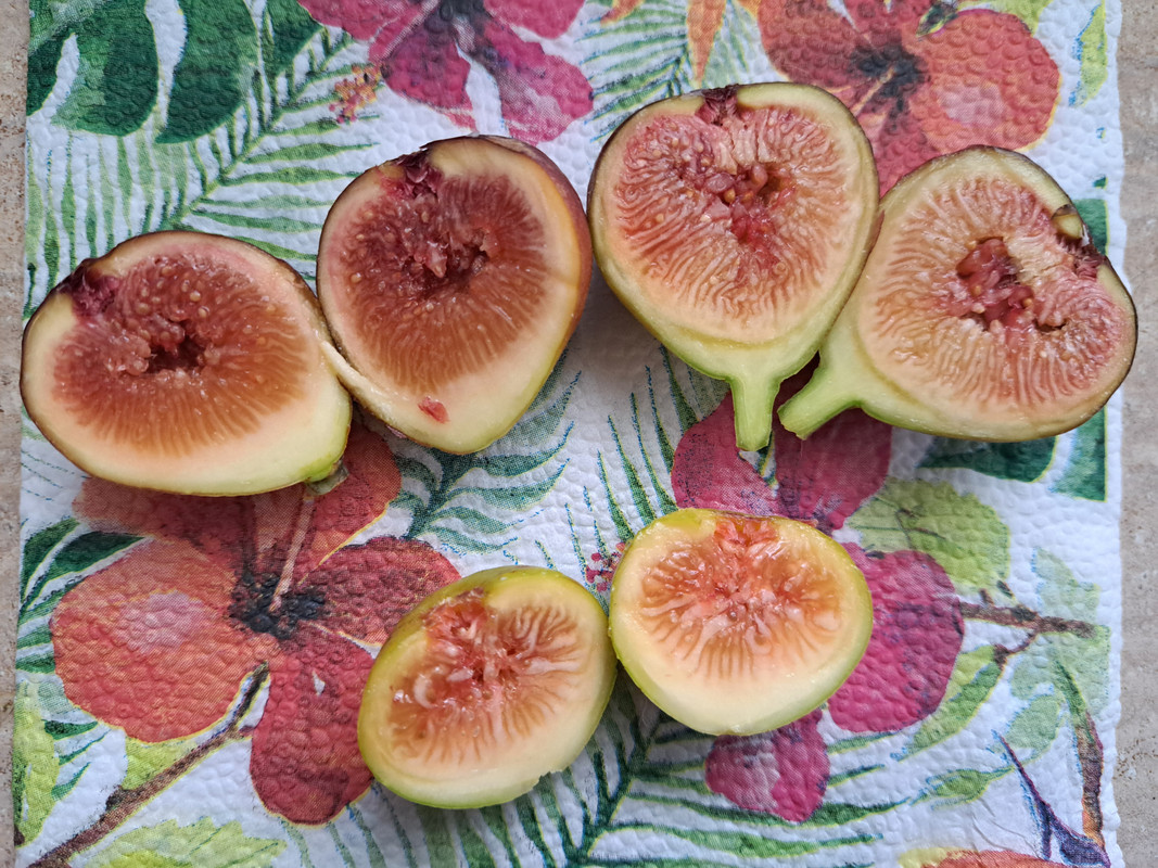 20240927 095650 — Postimages