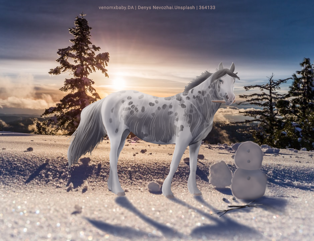 Horse Eden : Snowman | AB'd