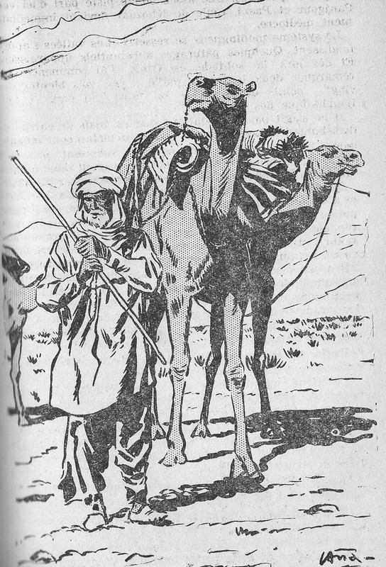 marabout 35 dessin de dino attanasio le secret du beloutchistan ...