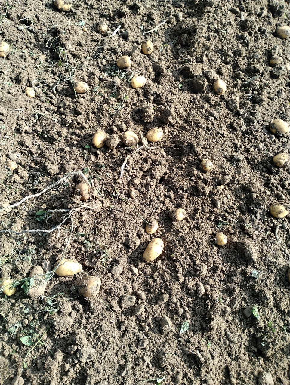 IMG 20251020 124855133 — Postimages