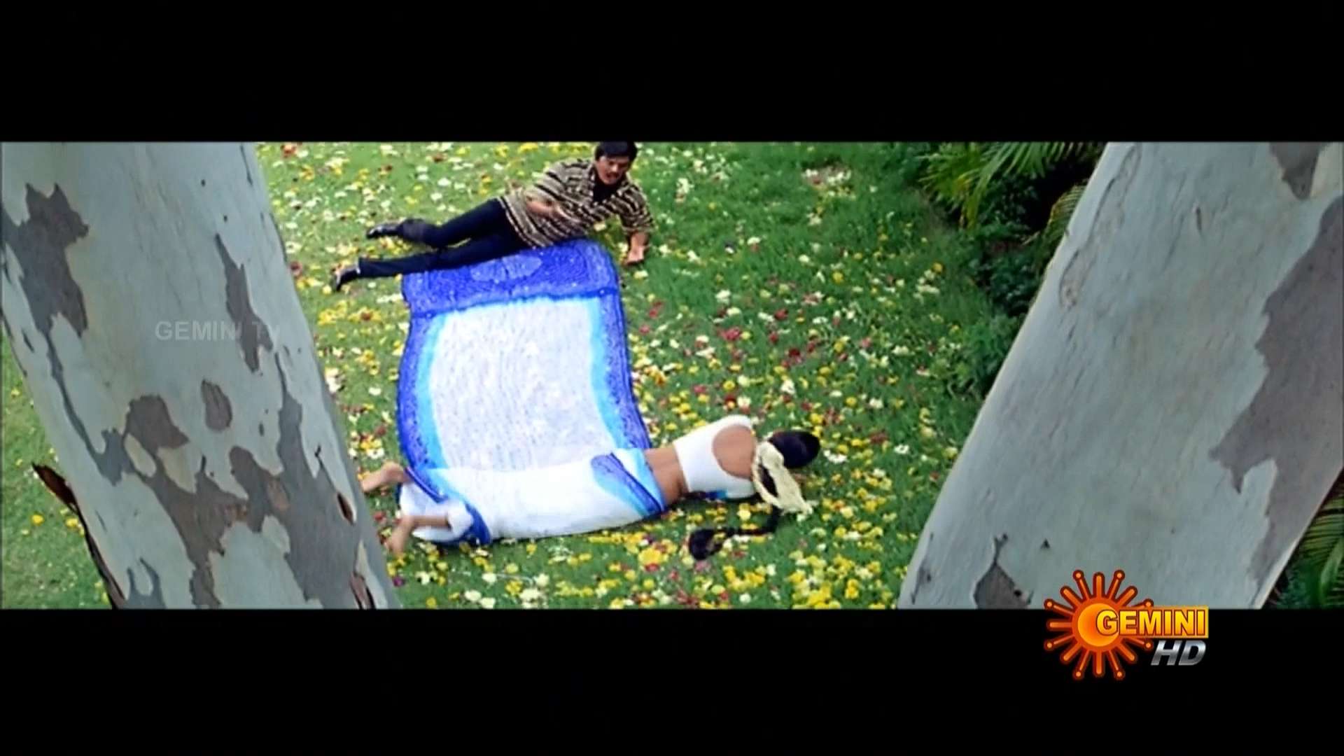 mpv shot0073 — Postimages