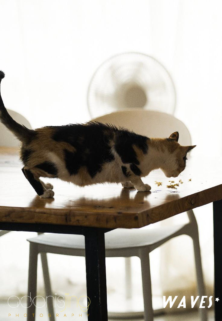 WAVES 01 [ MANDATORY SEXY] 052 — Postimages