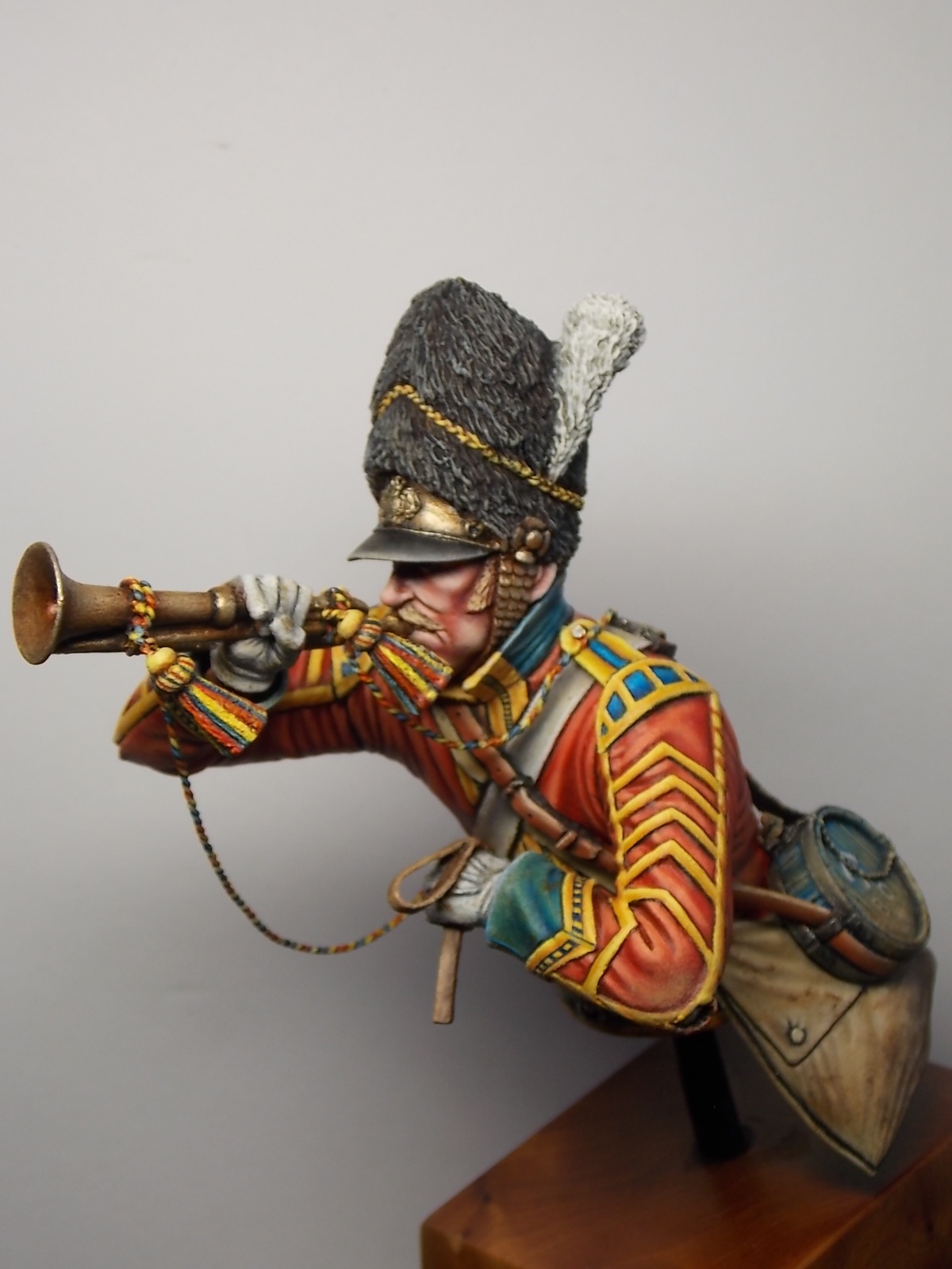 waterloo heavy cavalry 002 sized — Postimages