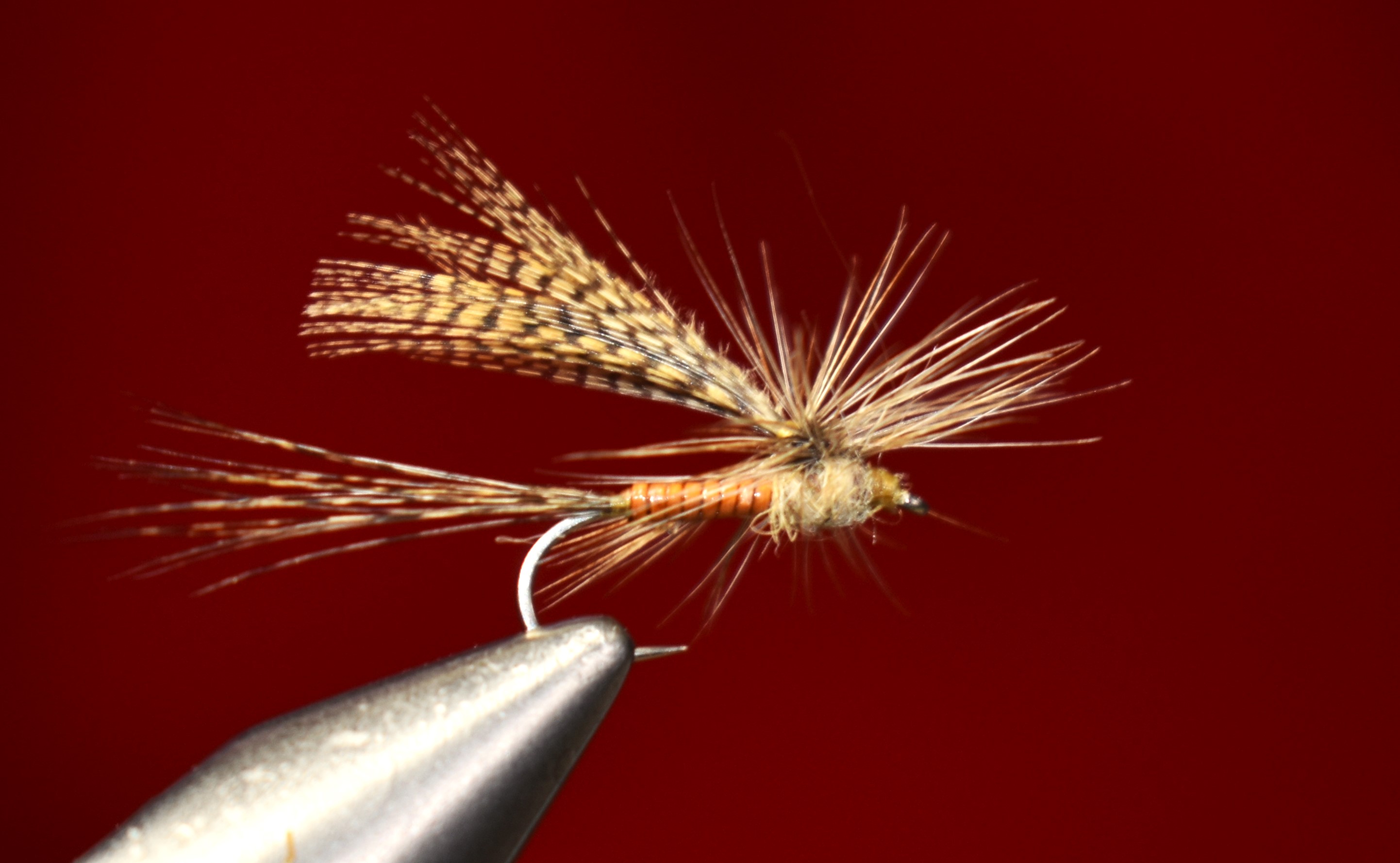 Jave Quill Light Hendrickson — Postimages