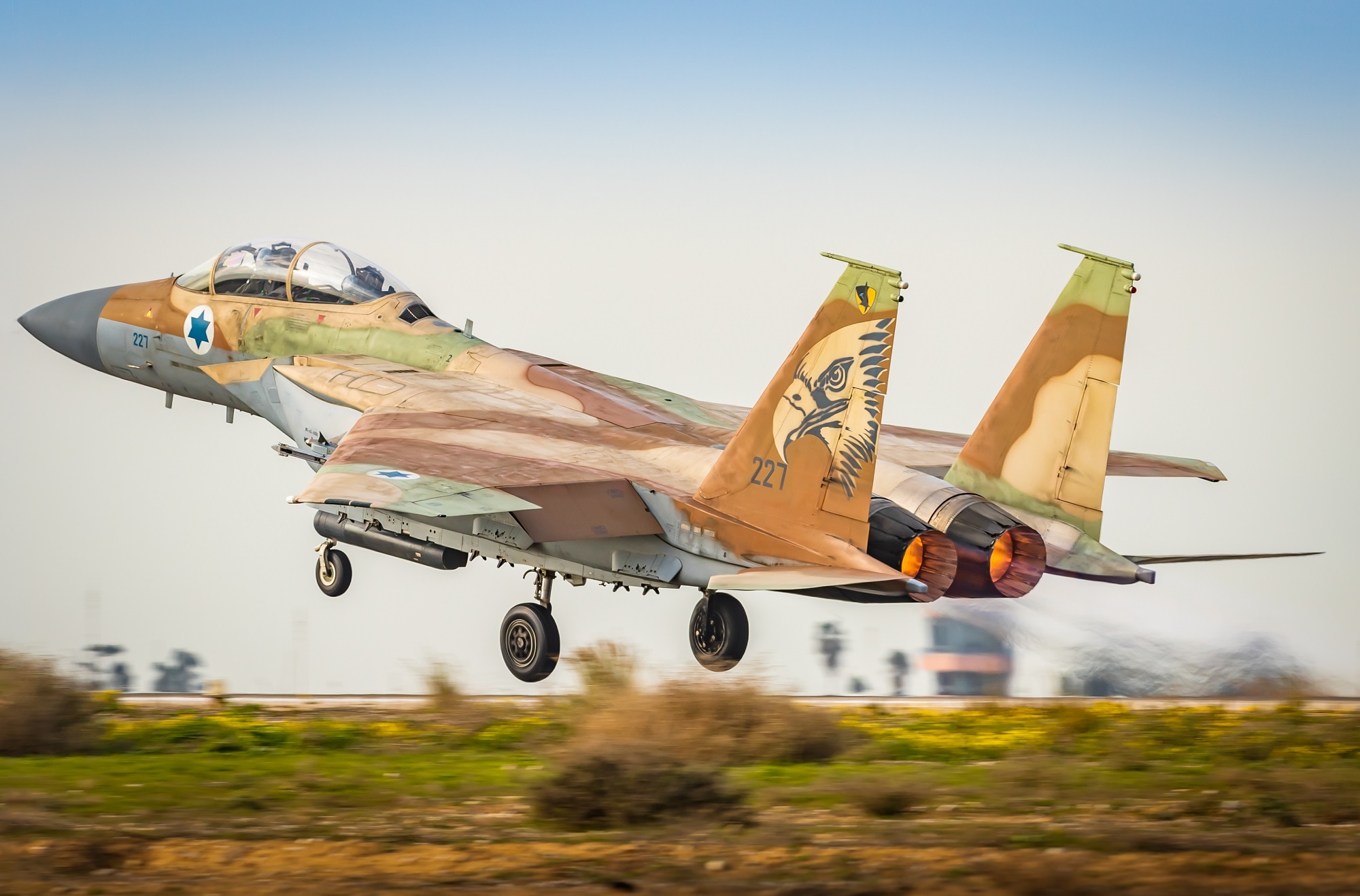 IAF F 15 EAGLE A1 — Postimages