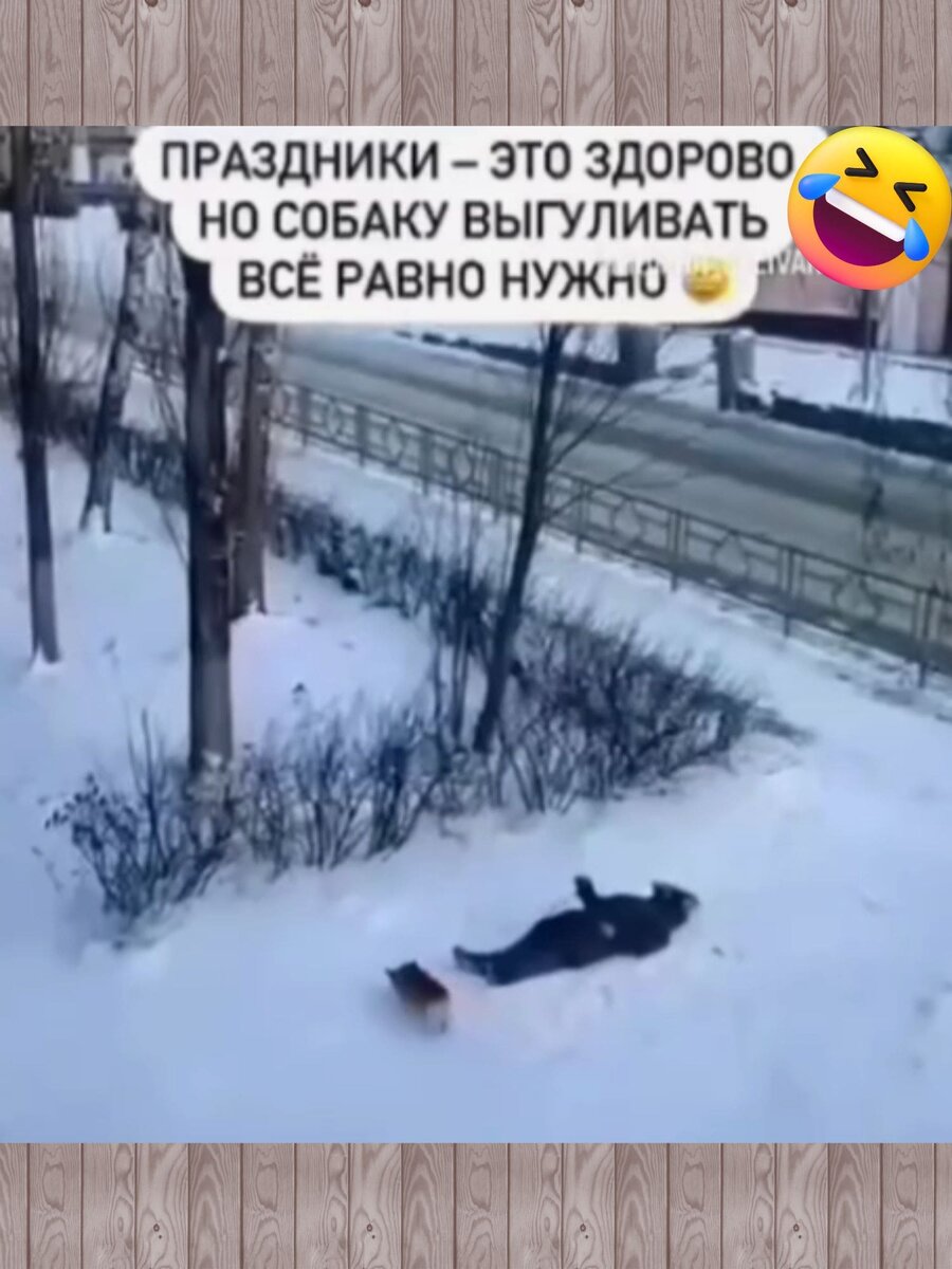 scale 1200 (24) — Postimages