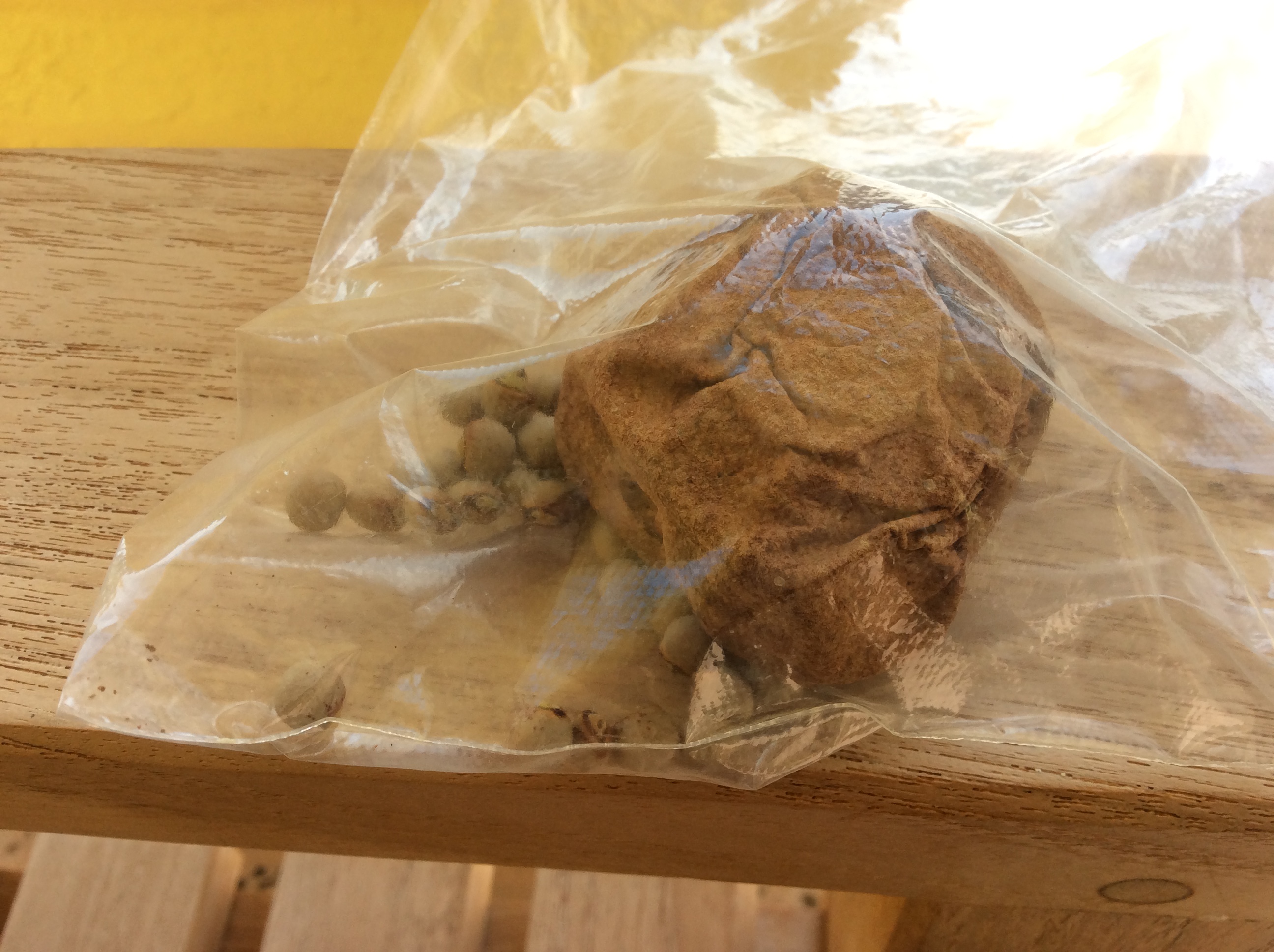 IMG 1892 — Postimages