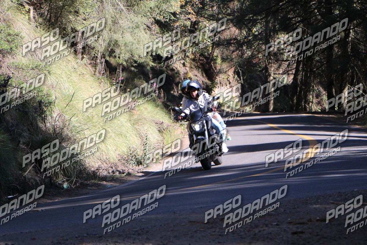 IMG 8907 wm 2337326 4000000004 watermarked — Postimages