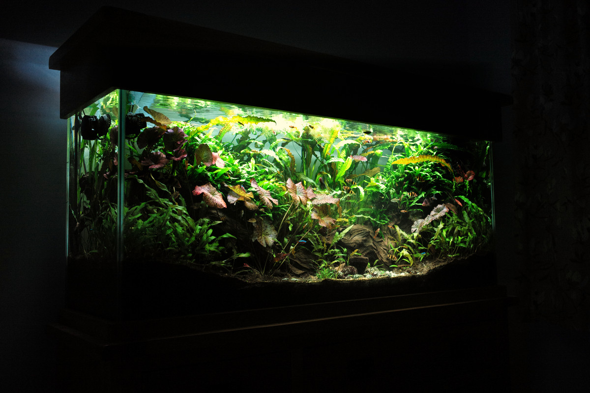 Jan 24 side — Postimages