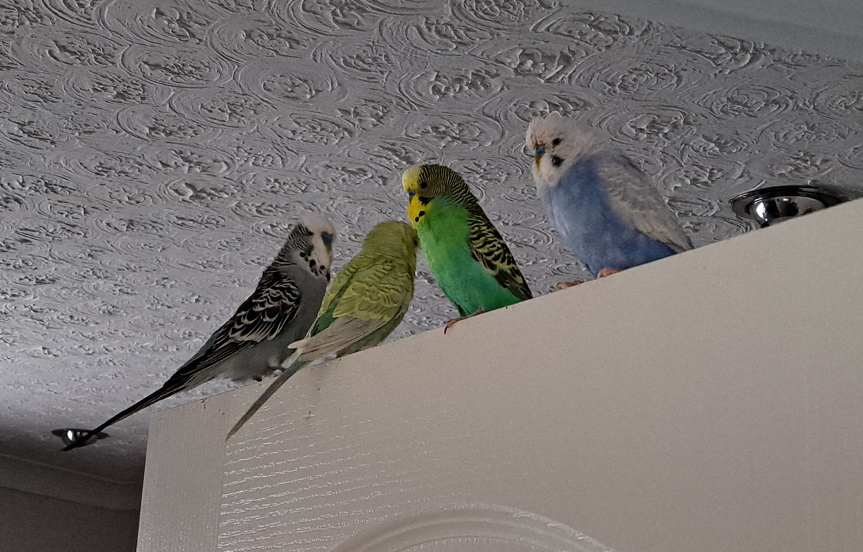 20230218 151341 — Postimages