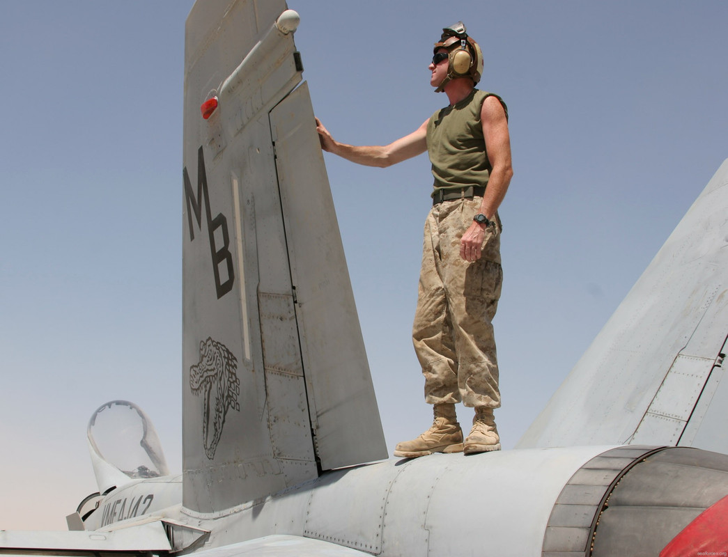 Academy 1/32 F/A-18C Hornet - Backdated to F/A-18A+ / VMFA-142 "Gators ...