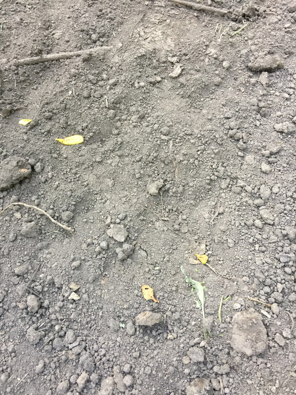 IMG 7339 — Postimages