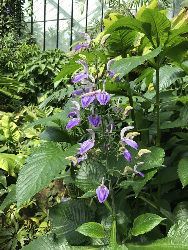 IMG 3017 — Postimages