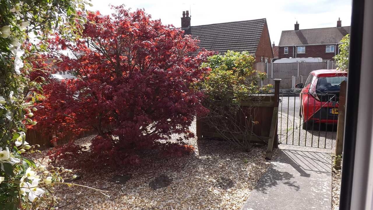 Garden 04 25 (1) — Postimages