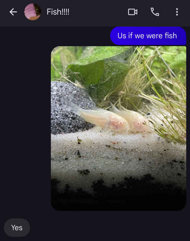 Send this pic to your s/o and say "Us if we were fish" : r/Aquariums