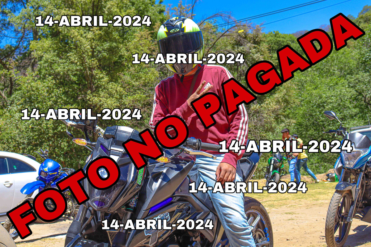 SC 241 — Postimages