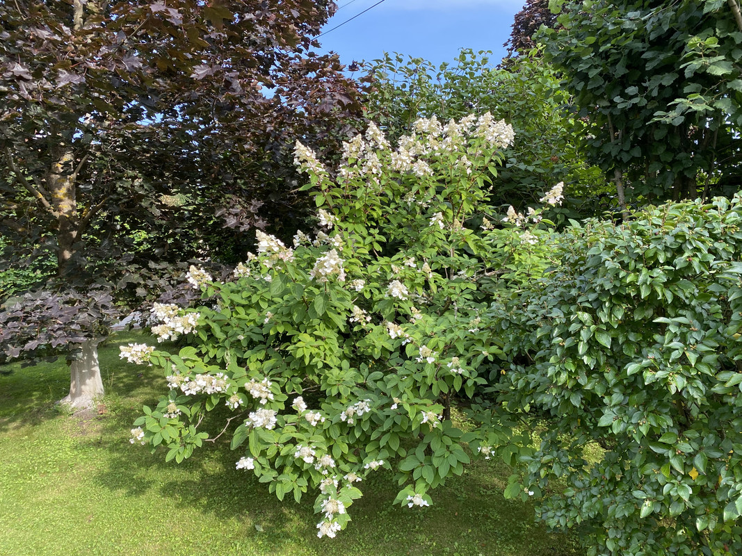 IMG 0210 — Postimages