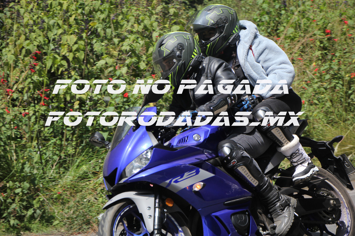 IMG 8175 — Postimages