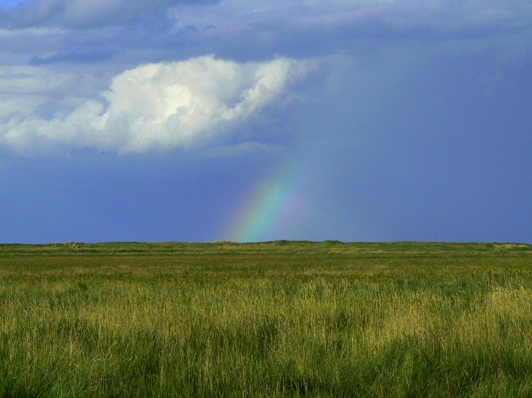 Rainbow — Postimages