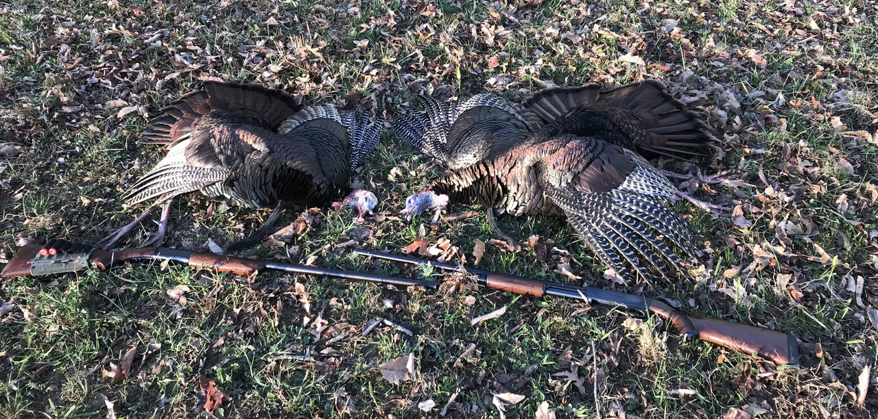 CE952 F7 F 5 C27 4676 91 E3 EE5 E5 FF5 B1 AD — Postimages