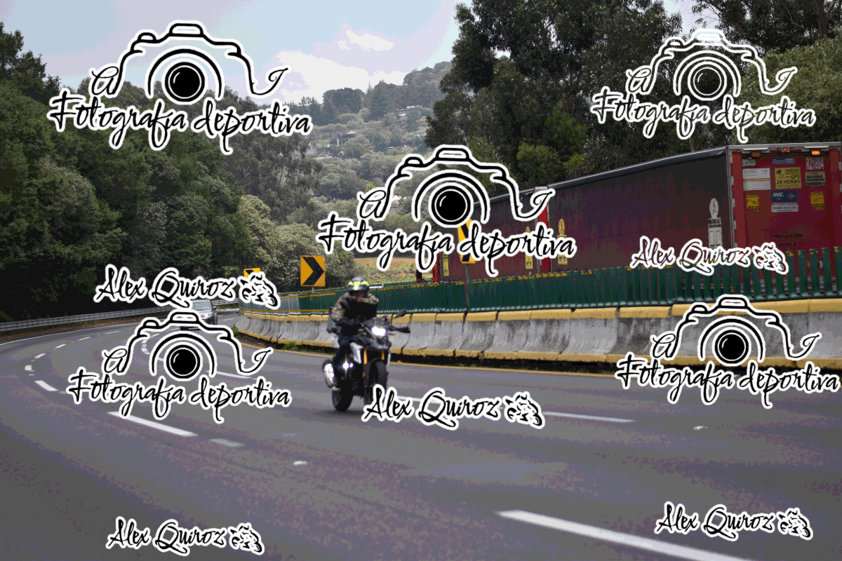 DSC 2378 — Postimages