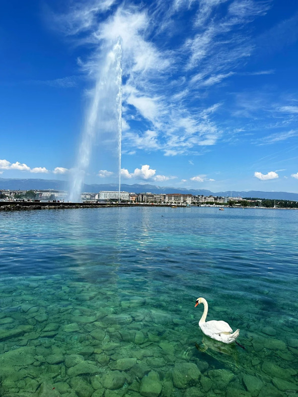 年度九图x2 10 — Postimages