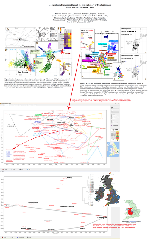 Medieval social landscape through the genetic history of Cambridgeshire Figures 1 and 2 ...