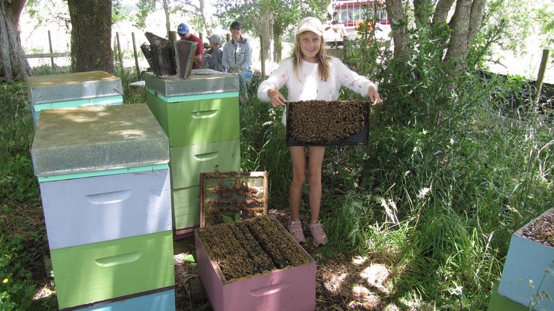 Teaching the Grandchildren Right! | Beesource Beekeeping Forums