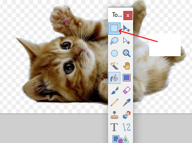 erase selection doesn't work at all - Troubleshooting & Bug Reports - Paint.NET Forum