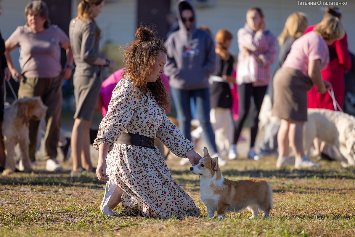 IMG 8580 — Postimages