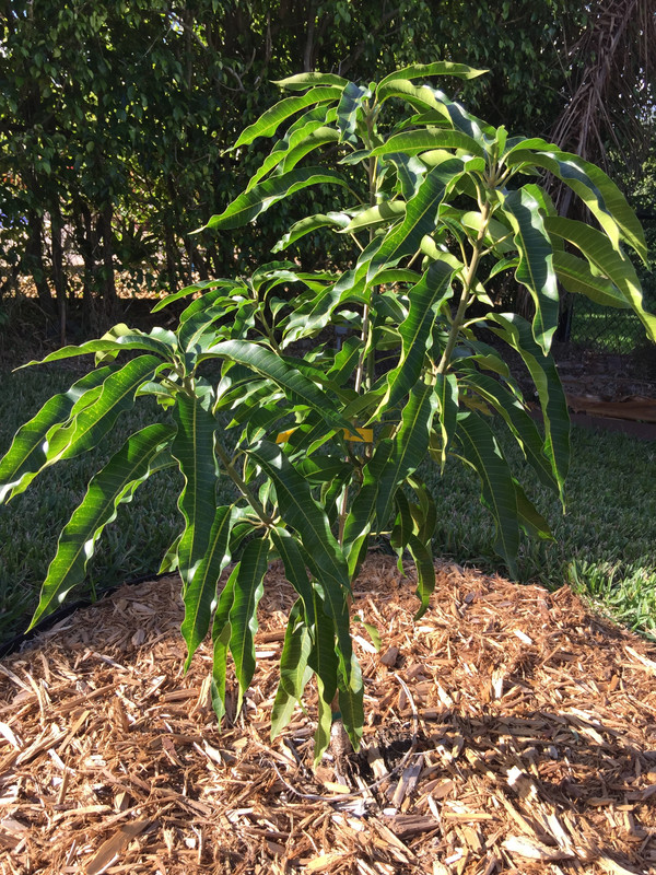 IMG 3068 — Postimages