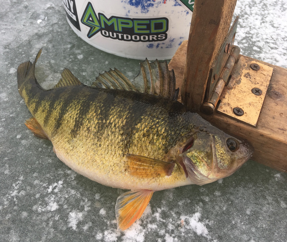 E6 F3386 C DFD1 42 AB 9685 0 B9134 A298 A4 — Postimages