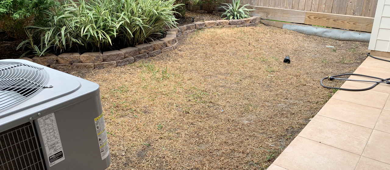Resodding from St. Augustine to Zoysia | Lawn Care Forum