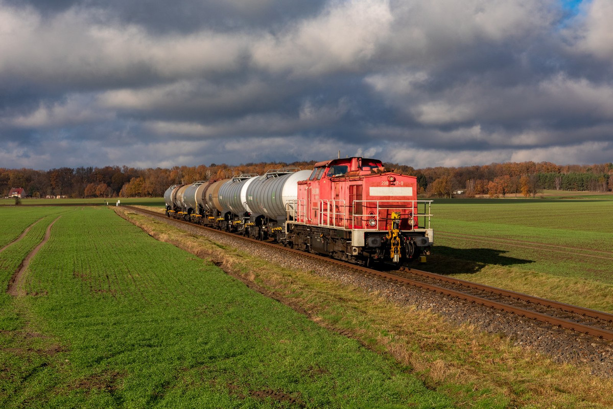 298 317 BLNG (2) — Postimages