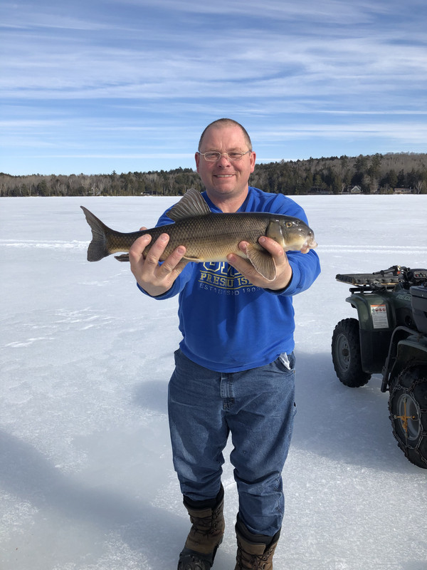 736808 A6 47 F7 4668 8 C6 B DFFE0 E99 C19 B — Postimages