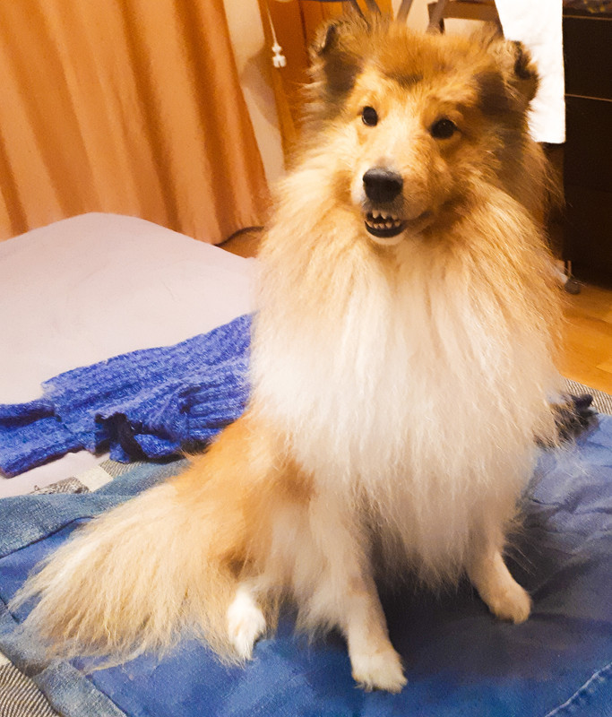 20200929 214048 edited — Postimages