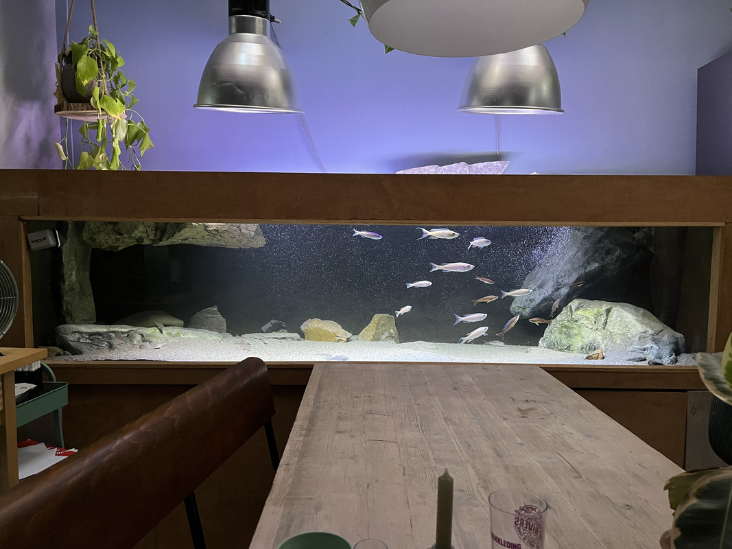 9 C002 A92 BB00 4 C1 E 9 BE3 5 EDDCB8593 A2 — Postimages