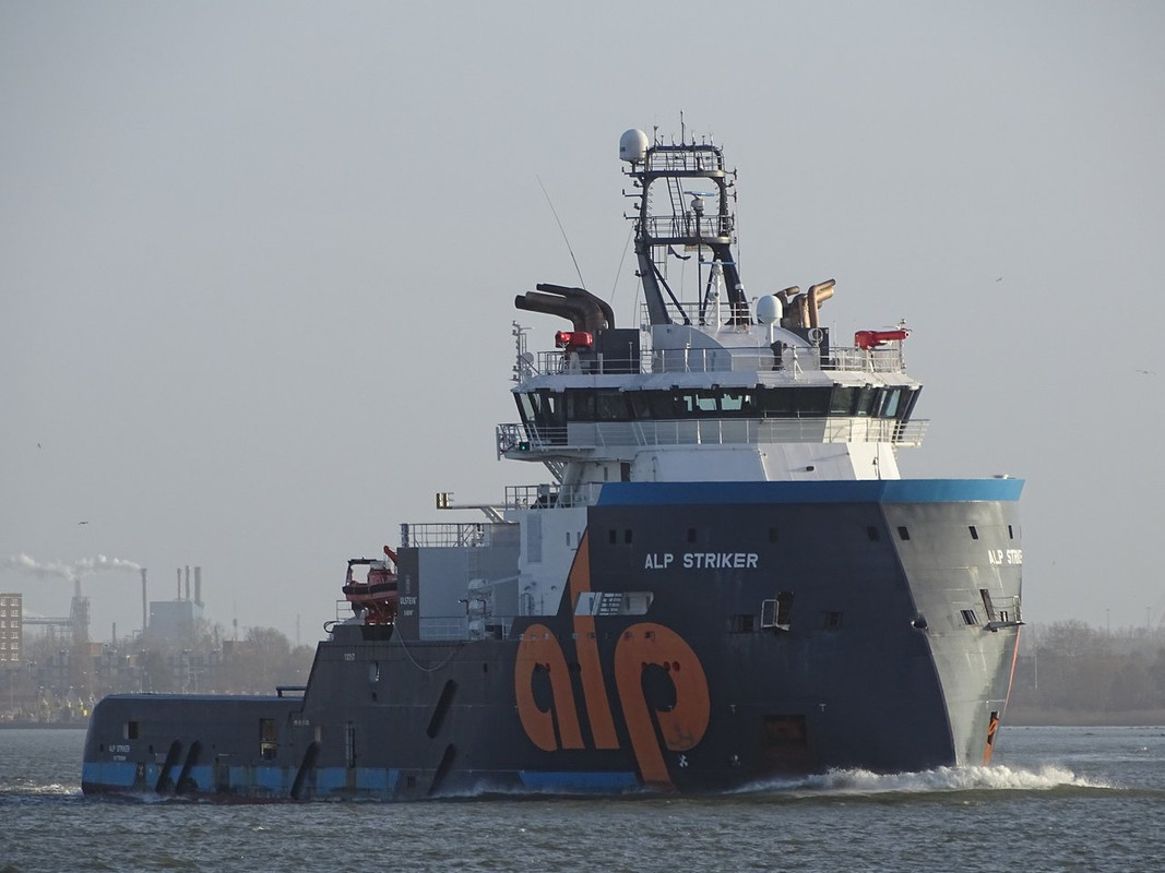 Alp Striker, 22 1 2024, nr 1 — Postimages