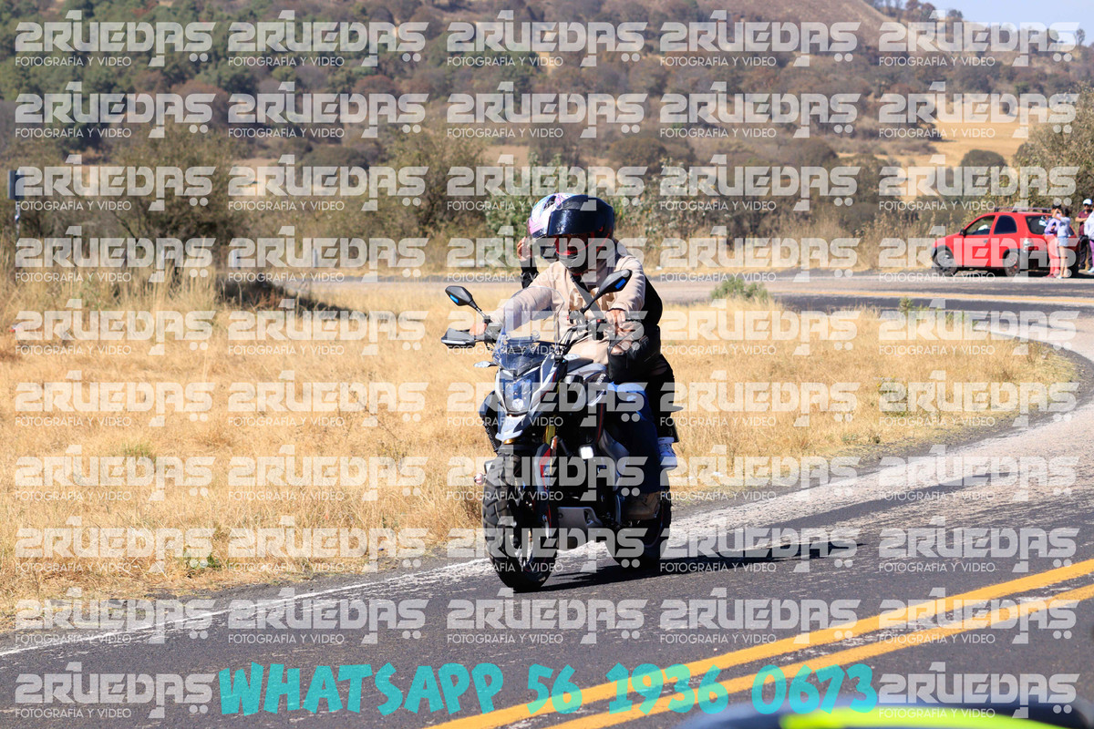 MG 1449 — Postimages