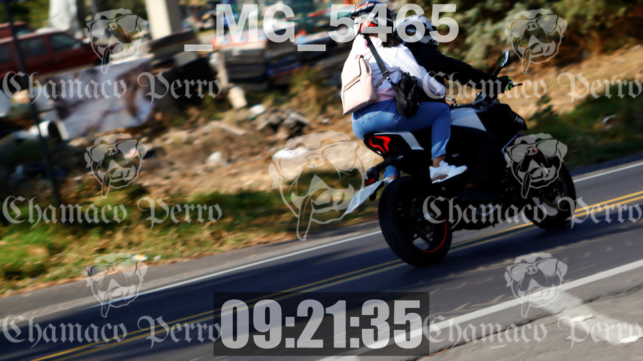 MUESTRA MG 5465 — Postimages